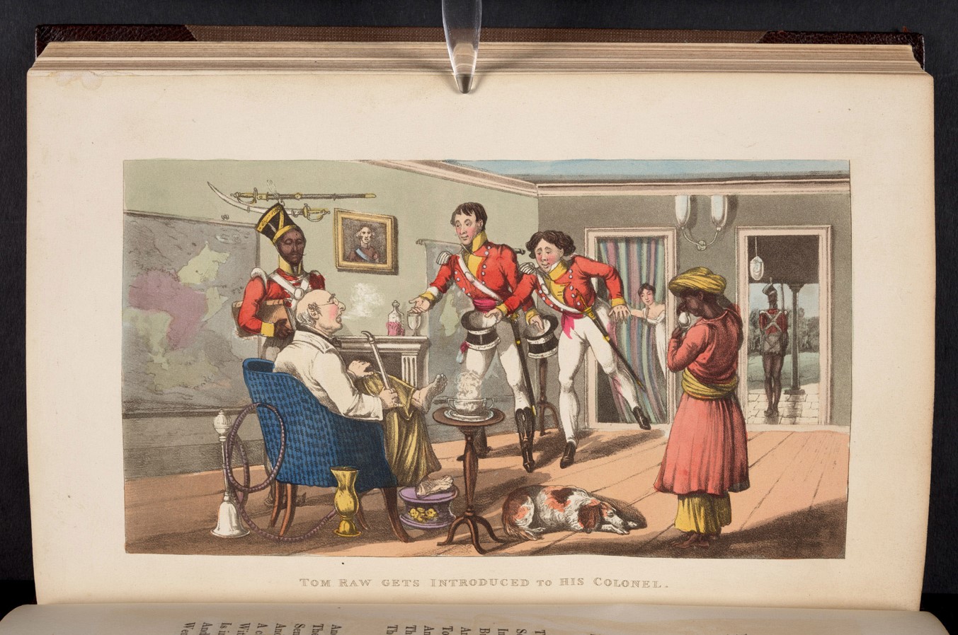 SHP Curriculum PATHS Blog - Building Powerful Curricula Together